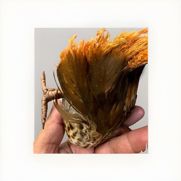 Holiday | Vintage Paper Mache And Feathers Turkey Decor Thanksgiving ...